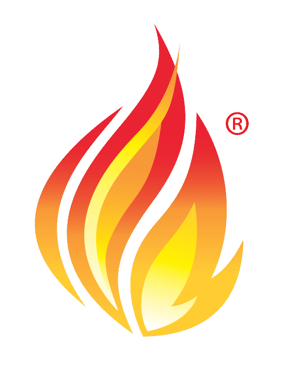 HL7 FHIR Security Education Event